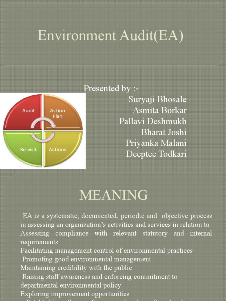 Environment Audit | PDF | Audit | Business