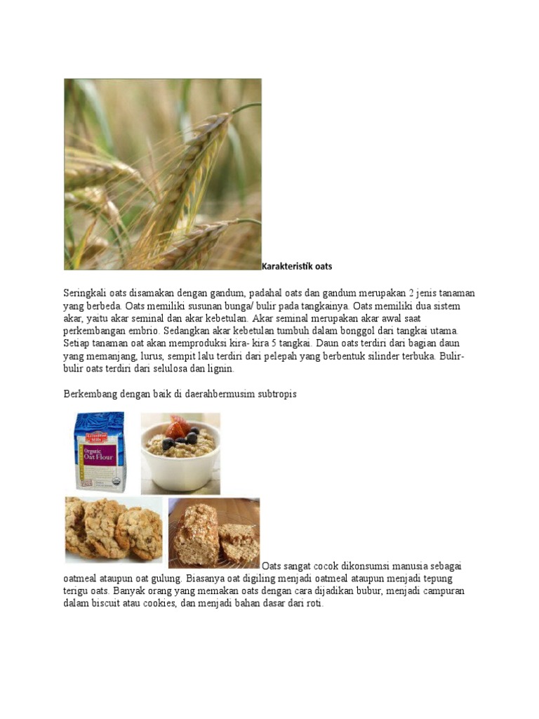 Karakteristik dan Manfaat Oats | PDF | Sains & Matematika