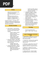 Unit 1 ANAPHY Printable Notes | PDF | Epithelium | Skin