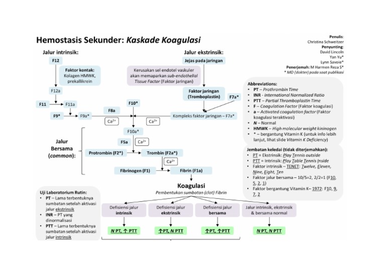 Kaskade Koagulasi | PDF