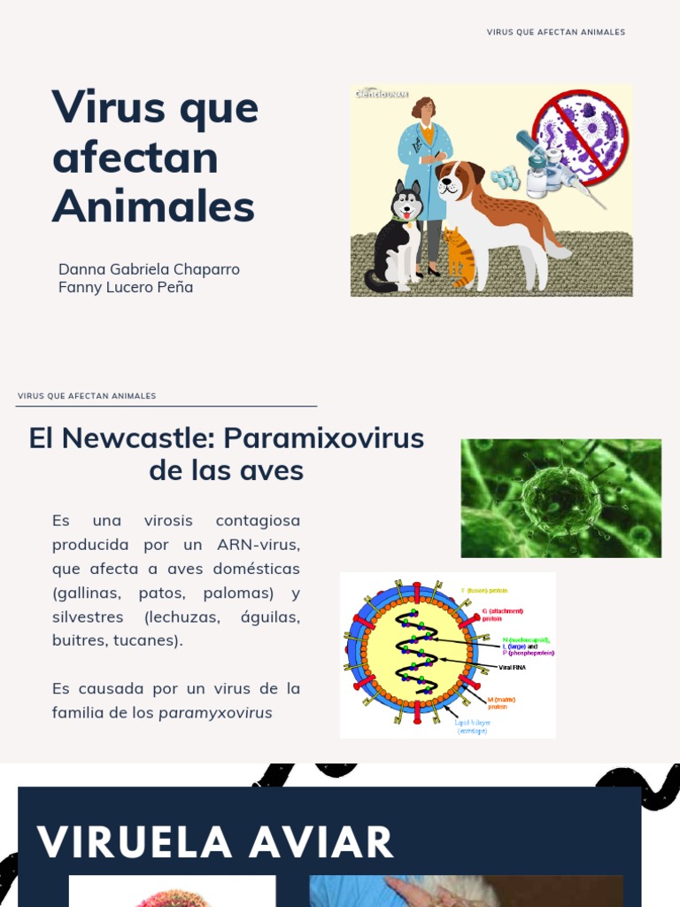 Virus Que Afectan Animales | PDF | Virus | Árbol de la vida (biología)
