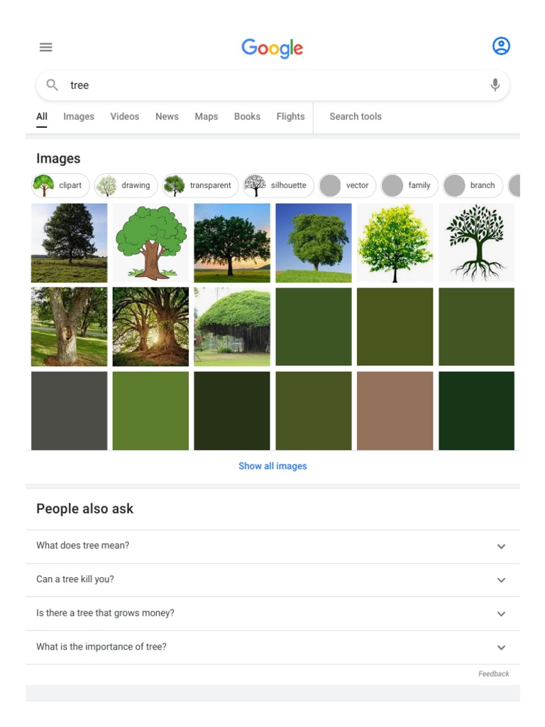 Understanding Trees: A Guide to the Diverse Types, Parts, Functions ...