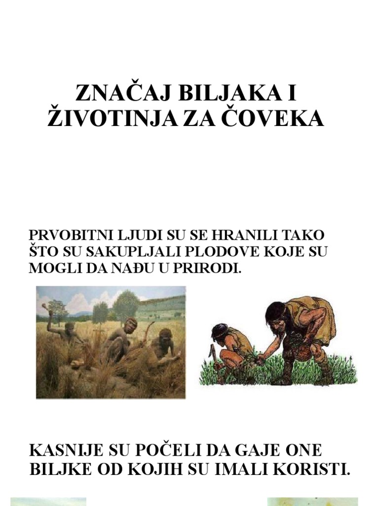 Znacaj Biljaka Zivotinja Za Covjeka | PDF