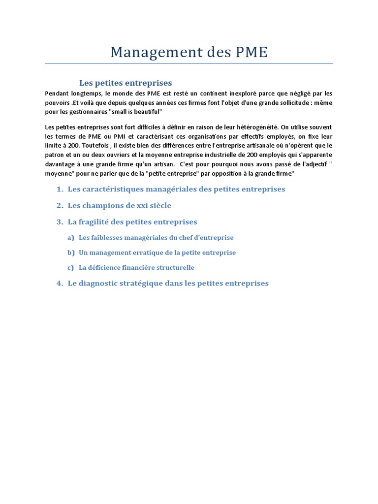 Management Des PME | PDF