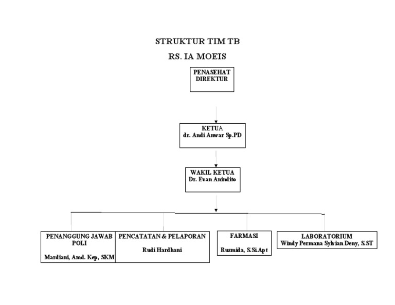Struktur Tim TB | PDF