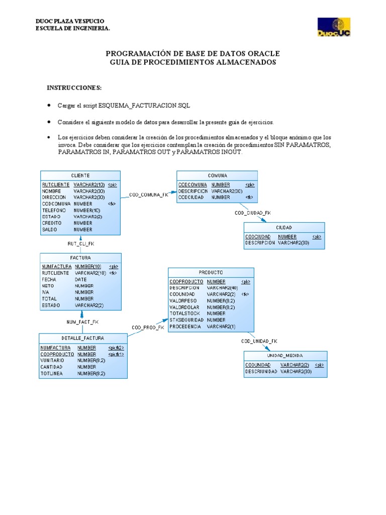 Guia Procedure Oracle (Solucion) | PDF