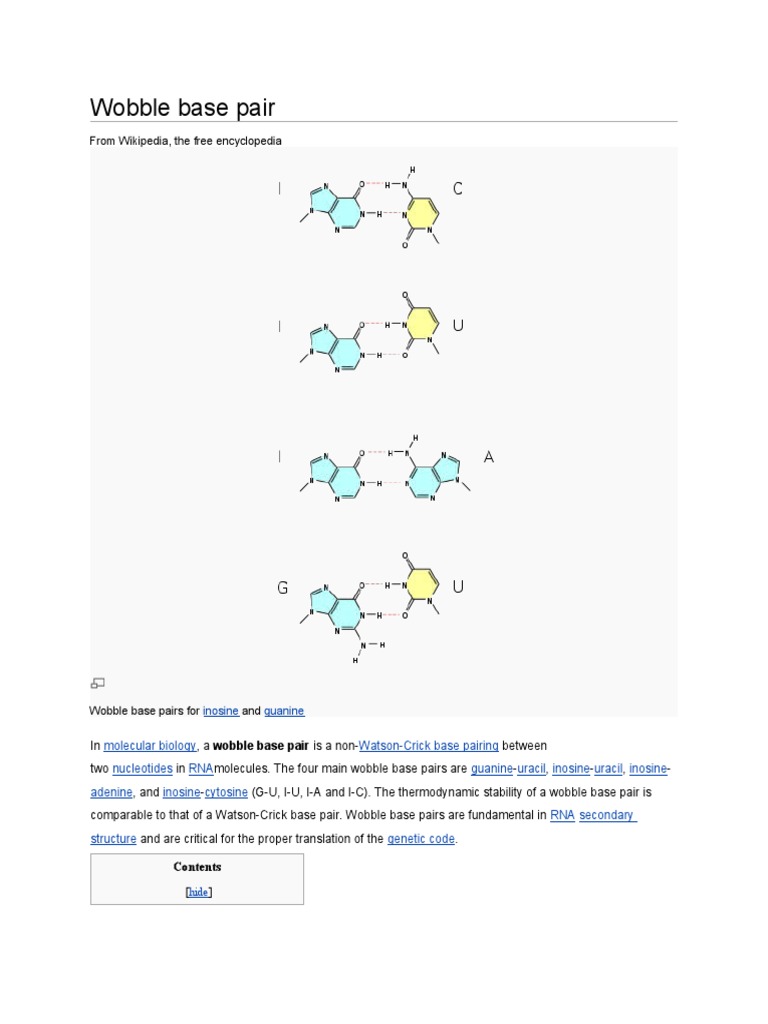 Wobble Base Pair | PDF | Gene Expression | Rna