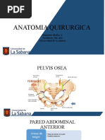 Visita Al Rastro | PDF | Carne | Matadero