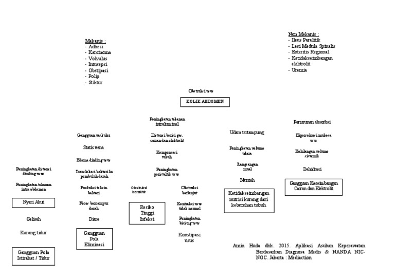 Pathway Colik Abdomen Devi Azzahra | PDF