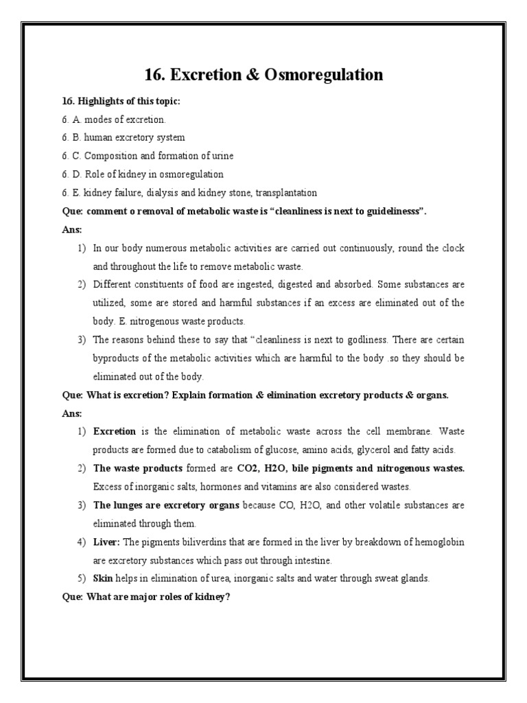 Excretion & Osmoregulation | PDF | Kidney | Angiotensin