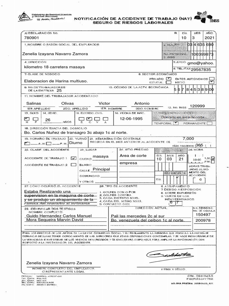 Hoja Nat (PDF EDITABLE) | Descargar gratis PDF | Labor | Business