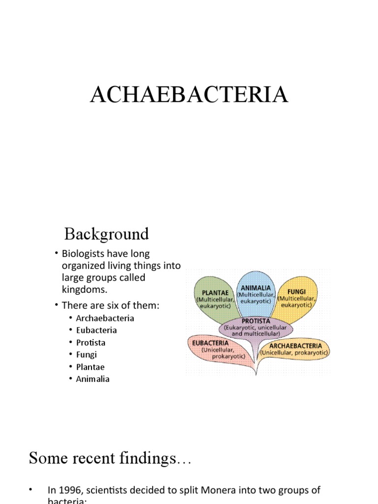 ARCHAEBACTERIA | PDF | Archaea | Bacteria