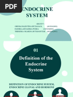 Lesson Plan Endocrine System | PDF | Endocrine System | Hormone