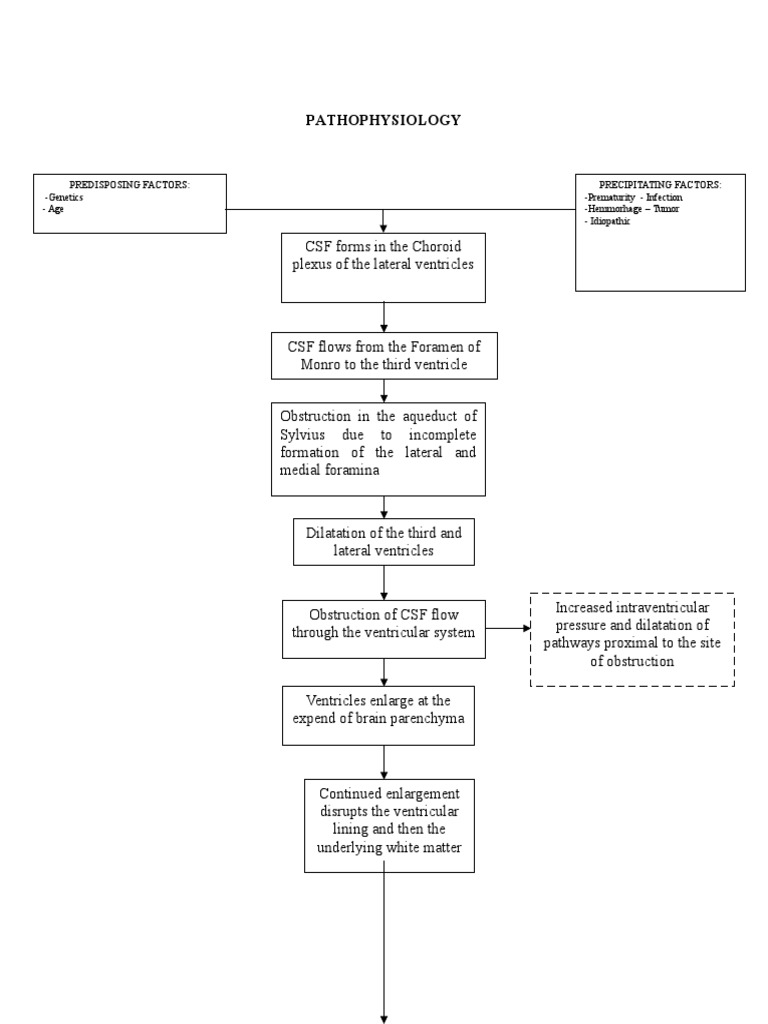 Hydrocephalus Pathophysiology Overview | PDF | Cerebrospinal Fluid ...