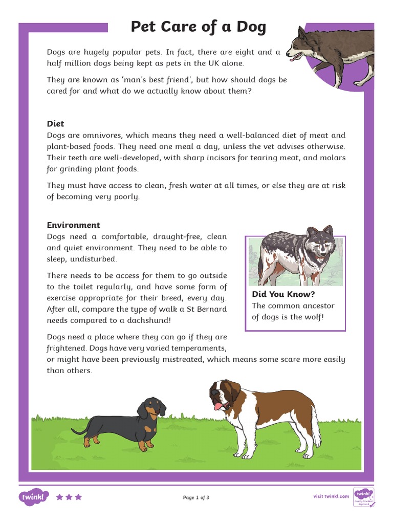 Pet Care of A Dog Differentiated Reading Comprehension Activity ...