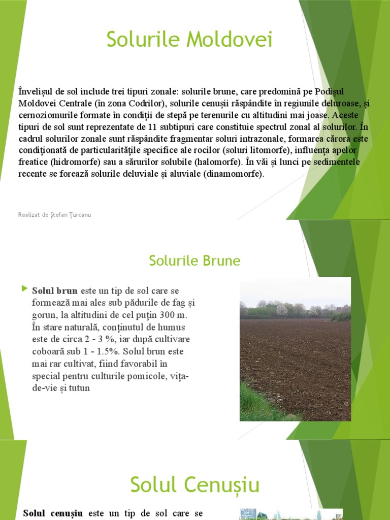 Solurile Moldovei | PDF
