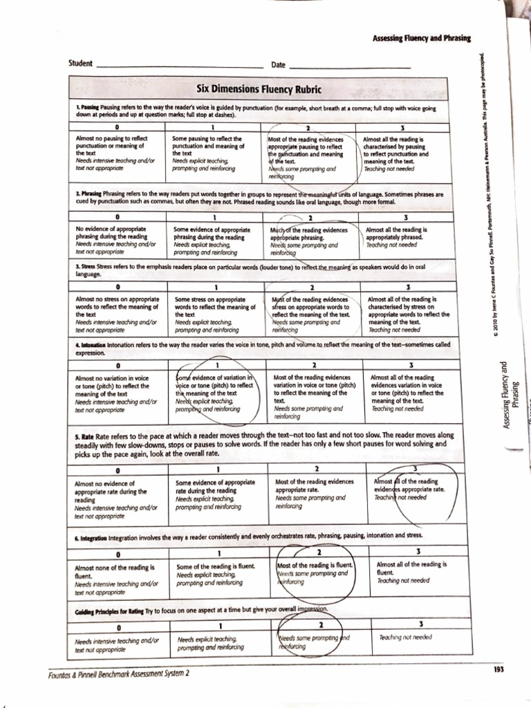 Fluency Rubrics | PDF | Punctuation | Stress (Linguistics)