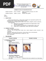 Detailed Lesson Plan: Elevation & Depression | PDF | Trigonometric ...