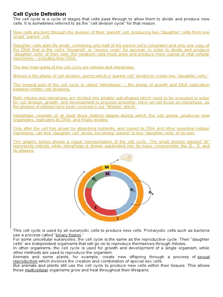 Cell Cycle Definition | PDF | Cell Cycle | Cell (Biology)