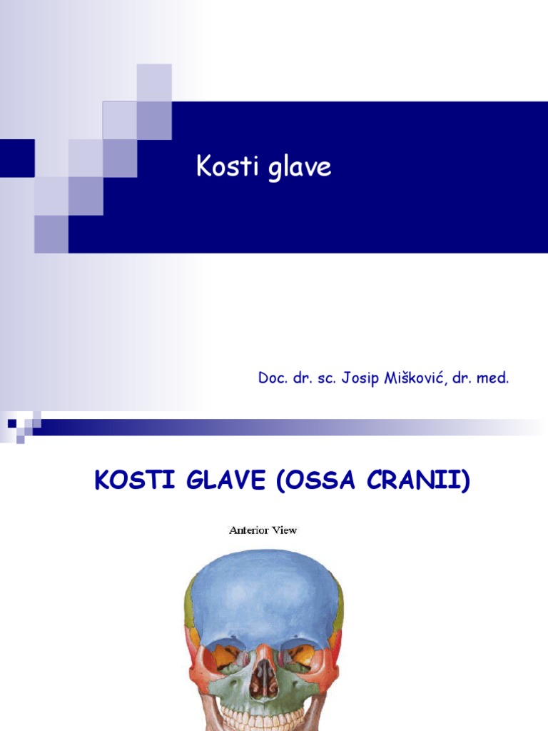 Kosti Glave | PDF