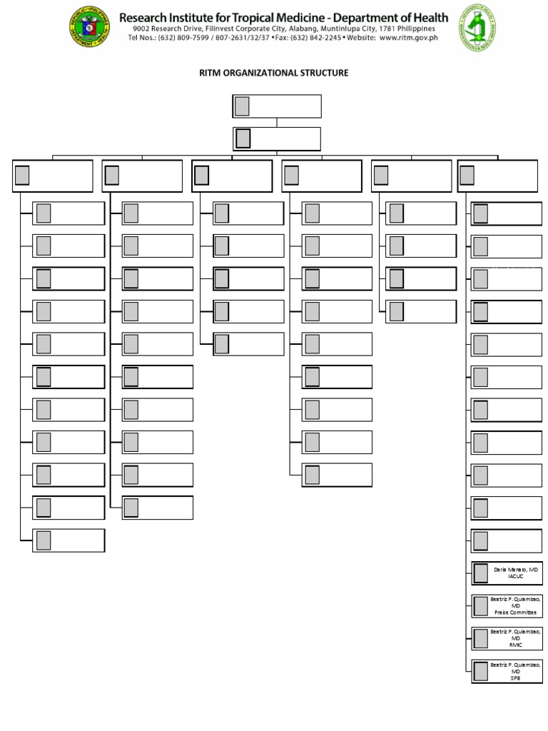 RITM Organizational Structure Chart | PDF | Health Care | Medicine