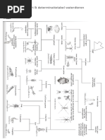 Boek medische parasitol cestoda (lintwormen) | PDF