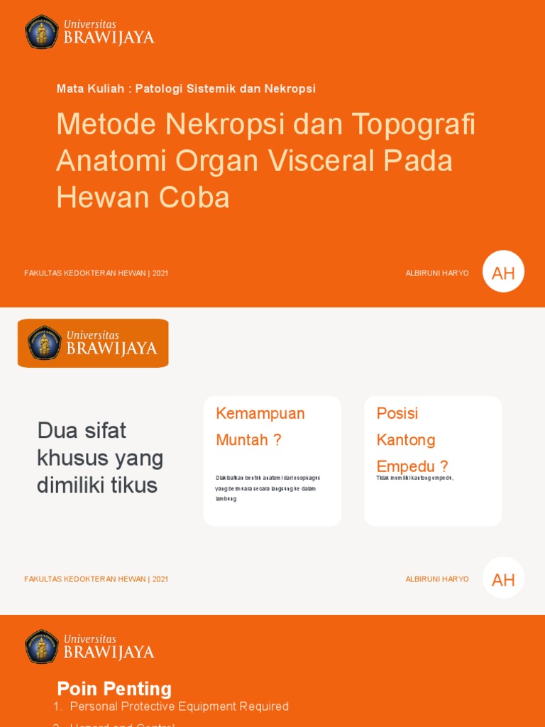 Nekropsi Hewan Coba | PDF