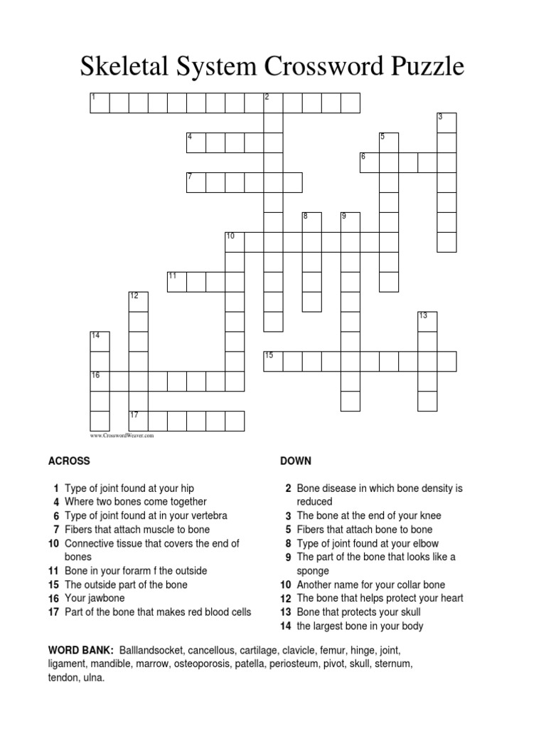 Skeletal System Crossword Puzzle: Reduced | Download Free PDF ...