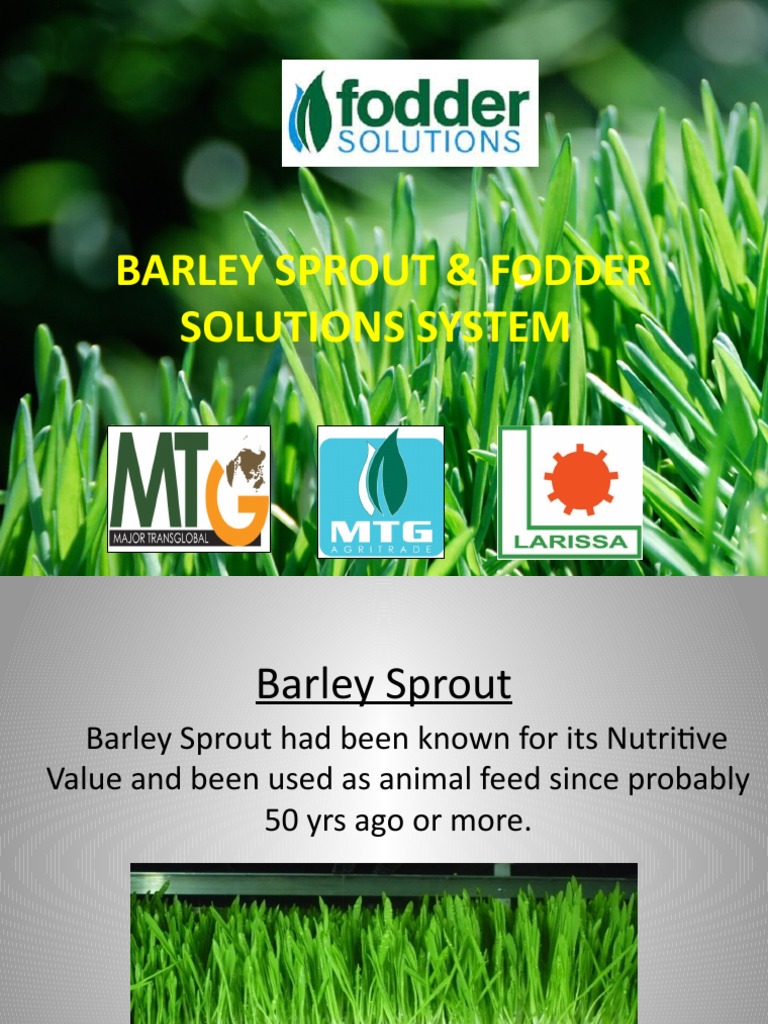 Barley Sprout and Fodder Solutions System (Jakarta) | PDF | Fodder | Milk