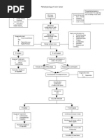 PEDro Scale | PDF | Randomized Controlled Trial | Evaluation Methods