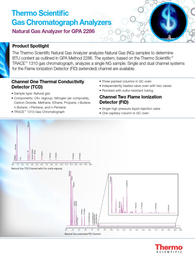 Thermo Scientific Gas Chromatograph Analyzers: Natural Gas Analyzer For ...