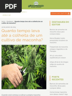 Raízes Adventícias: Exemplos e Funções | PDF | Raiz | Morfologia vegetal