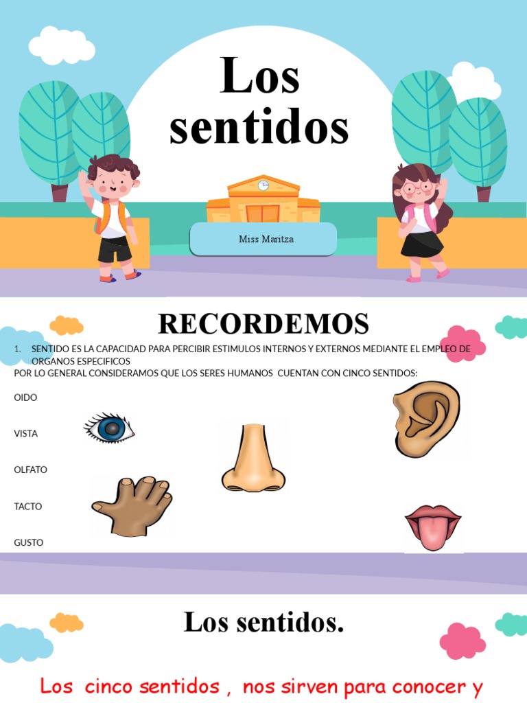 CLASE 4 CIENCIAS (1) Los Sentidos | PDF