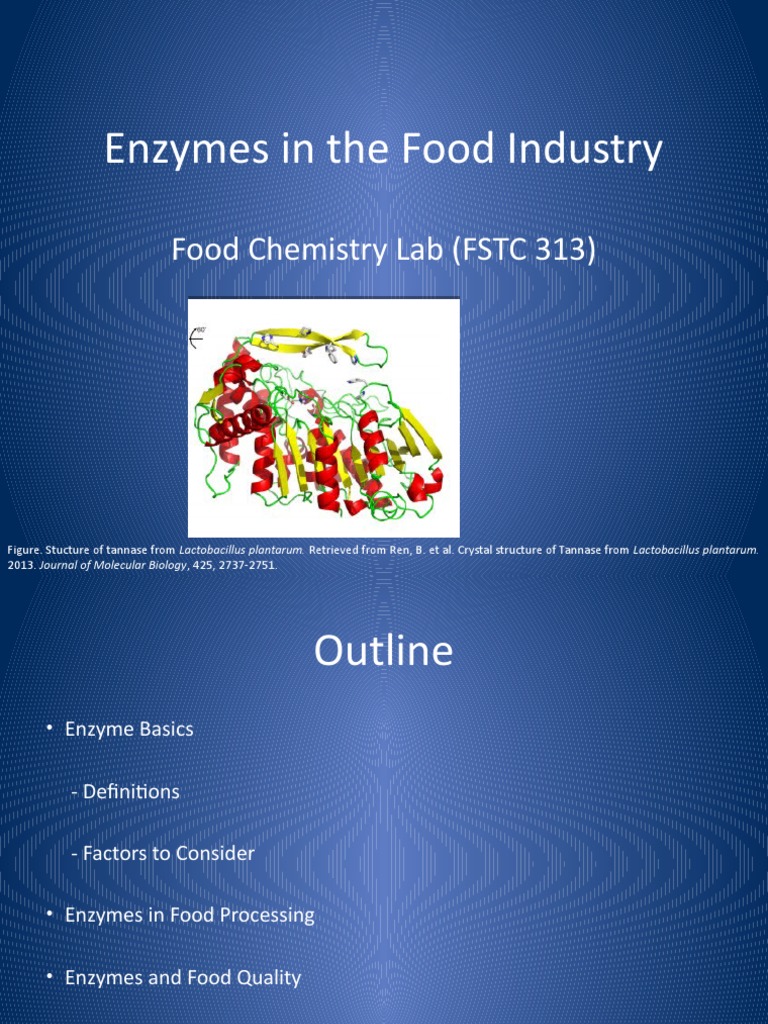 Enzymes in Food Processing and Browning | PDF | Enzyme | Chemistry