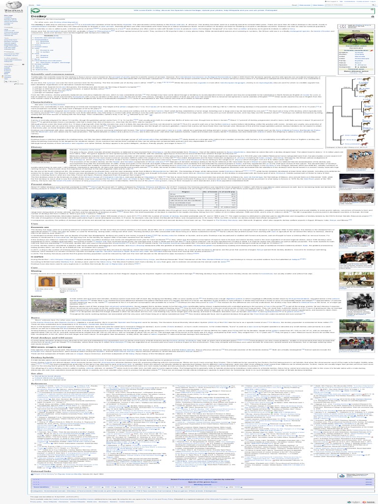Donkey - Wikipedia | PDF | Donkey | Equus (Genus)