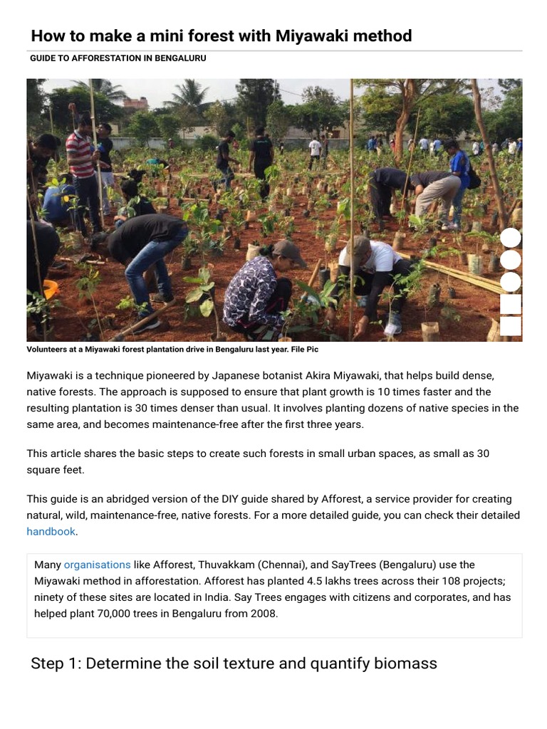 How To Make A Mini Forest With Miyawaki Method | PDF | Trees | Mulch