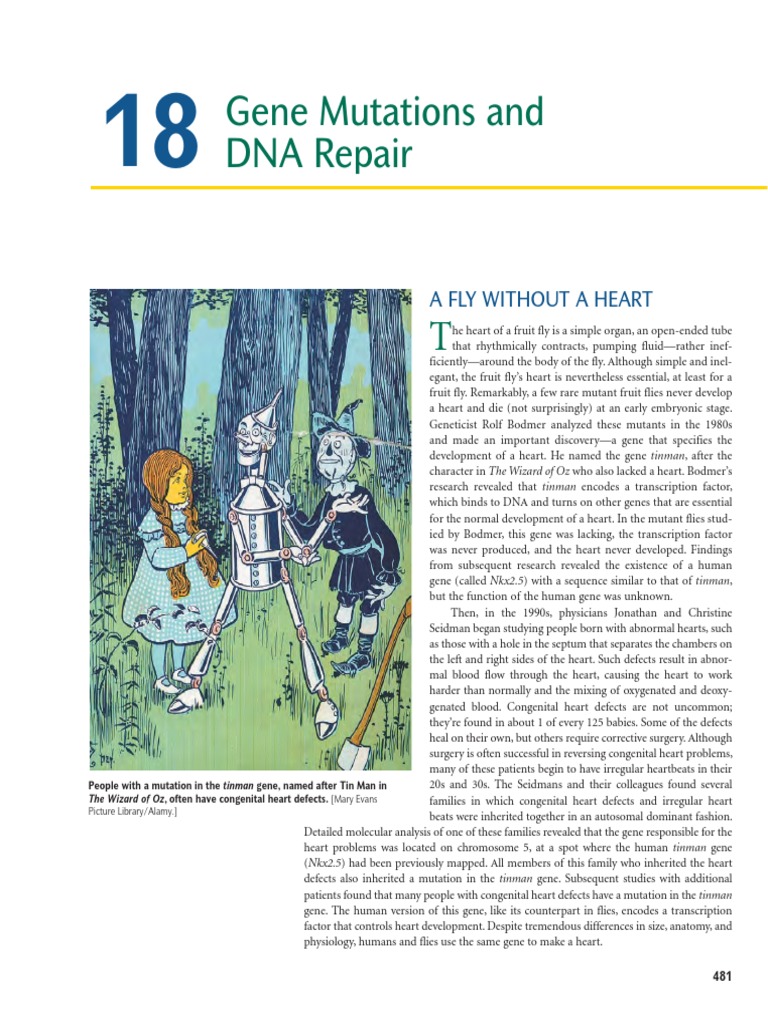 Genetics, A Conceptual Approach - Cap - 18 - Gene - Mutations - and ...