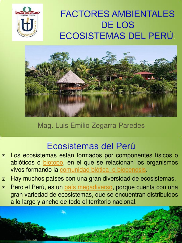 Factores Ambientales de Los Ecosistemas Del Perú | PDF | Ecosistema | Andes