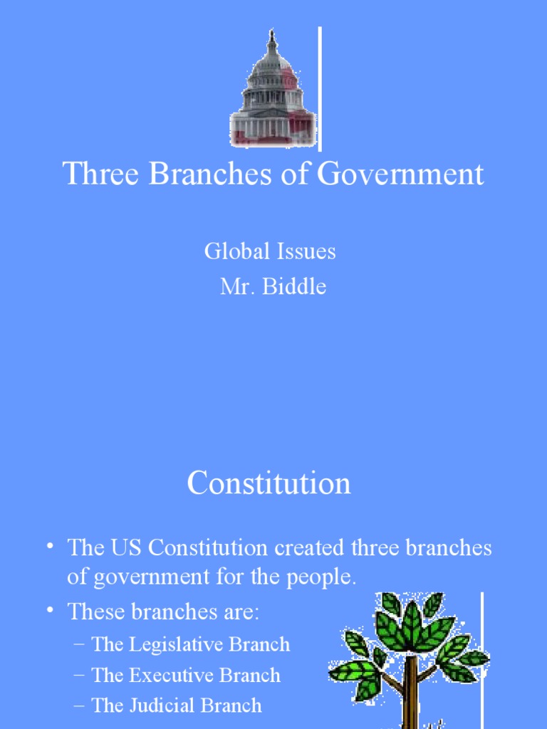 Three Branches of Government | PDF | Supreme Courts | Federal ...