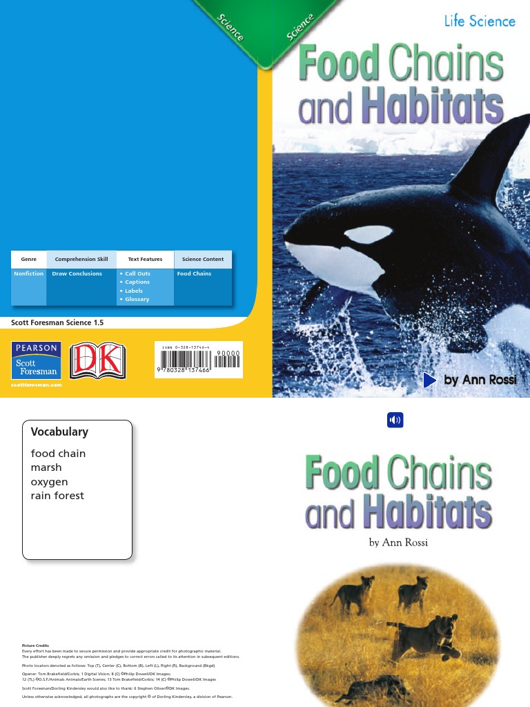 Food Chains and Habitats | PDF | Marsh | Plants