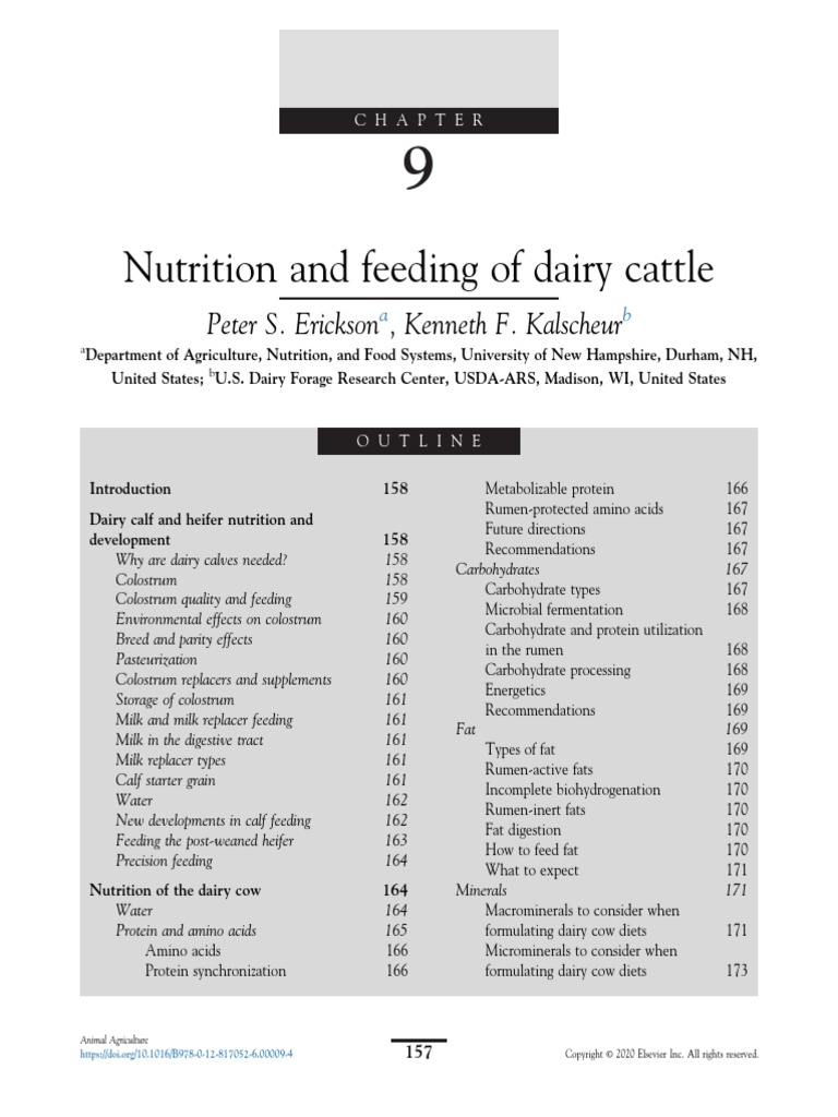 Nutrition and Feeding of Dairy Cattle | PDF | Dairy Cattle | Cattle