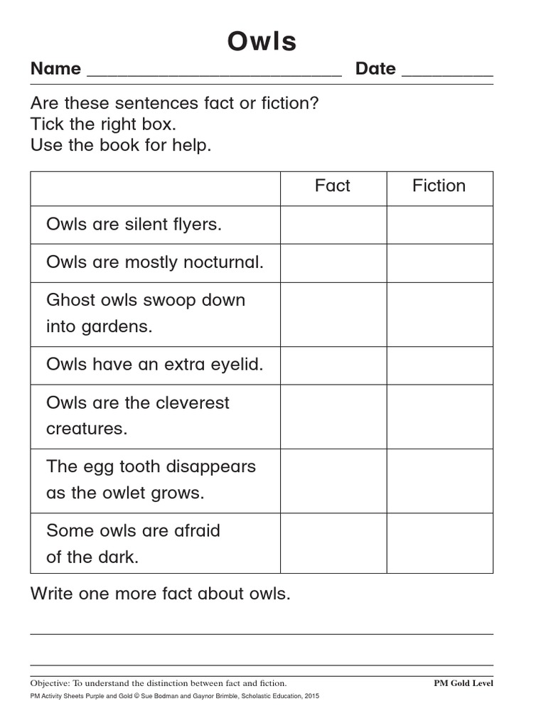 Animal Report Writing Frames - Activities | PDF | Raccoon | Nature