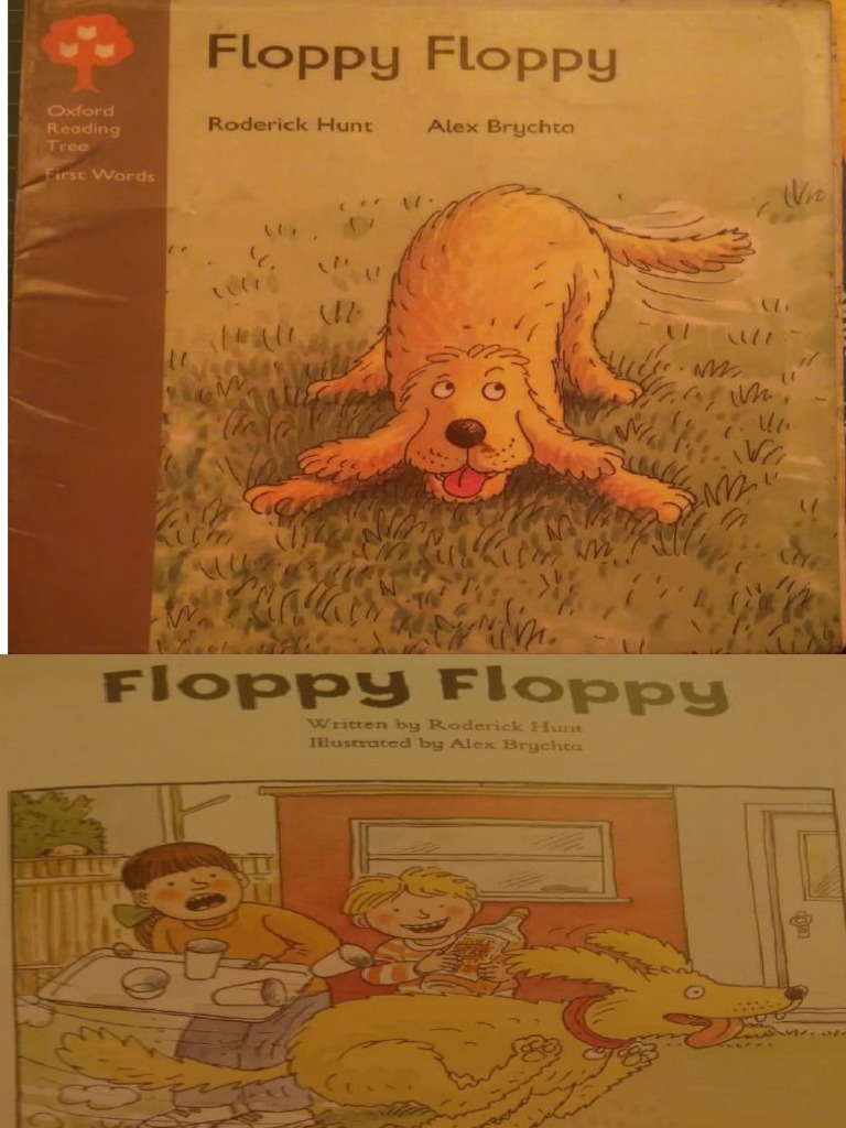 Floppy Floppy | PDF