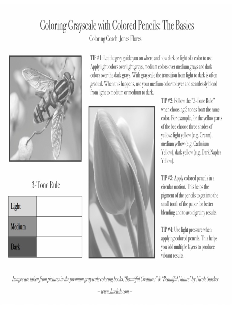 Grayscale Coloring Basics | PDF | Home & Garden