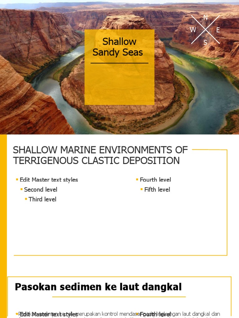 Shallow Sandy Seas | PDF