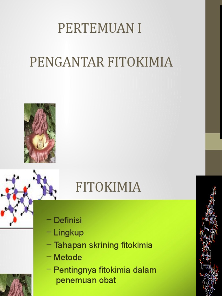 Pertemuan I Pengantar Fitokimia | PDF