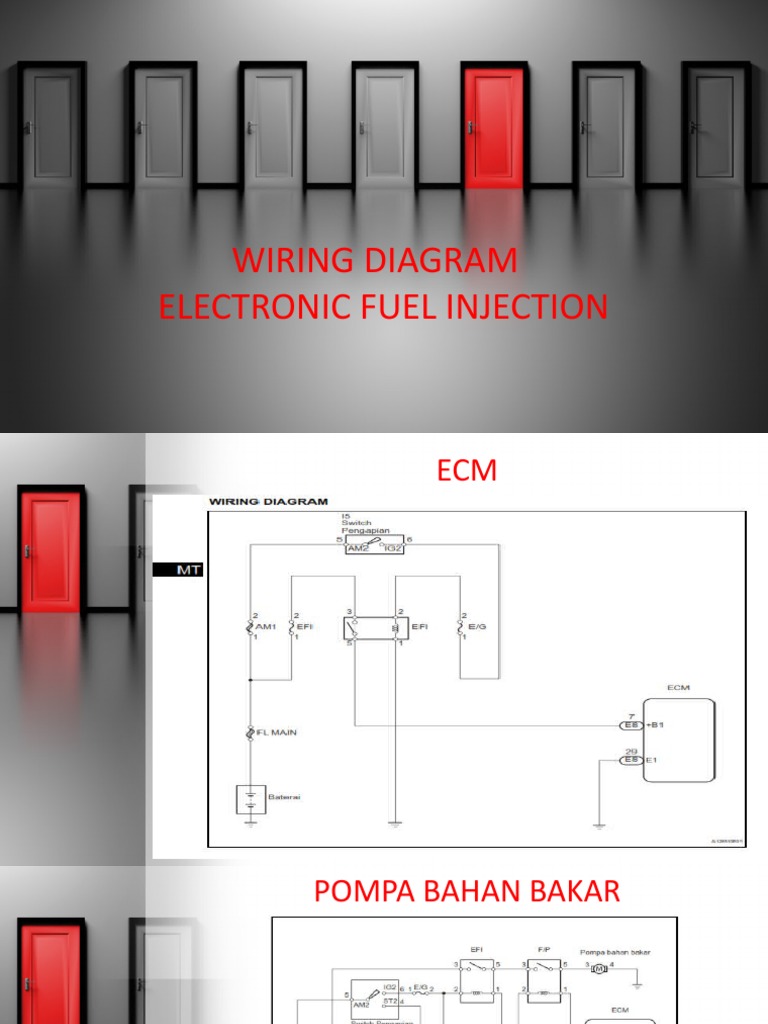 Wiring Diagram Efi | PDF