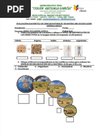 Cadena Alimenticia - Productores, Consumidores y Descomponedores PDF ...