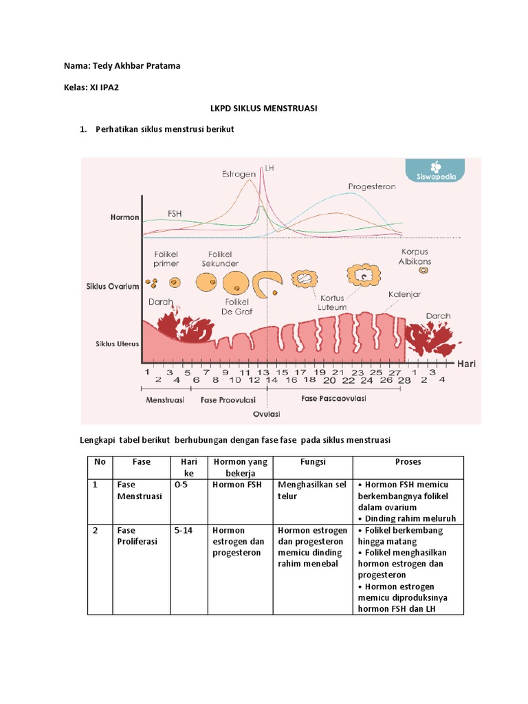 LKPD SIKLUS MENSTRUASI (Tedy Akhbar XI Ipa2) | PDF