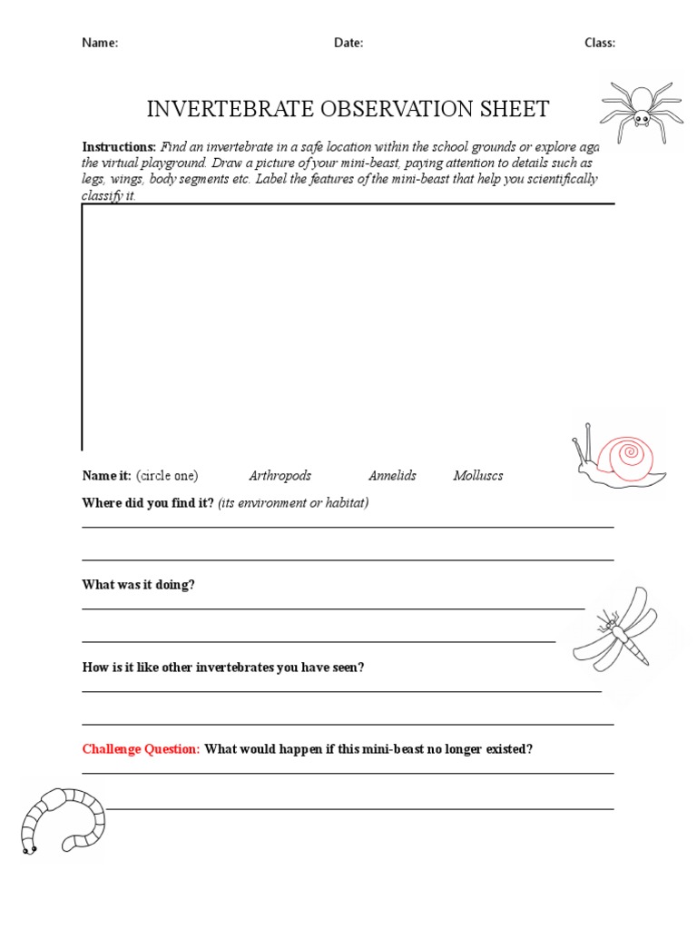 Invertebrate Observation Sheet A3 | PDF | Social Science | Philosophy